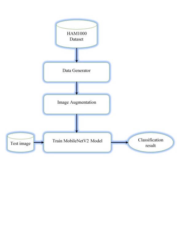 DeepSkin A Deep Learning Approach for Skin Cancer Classification ...
